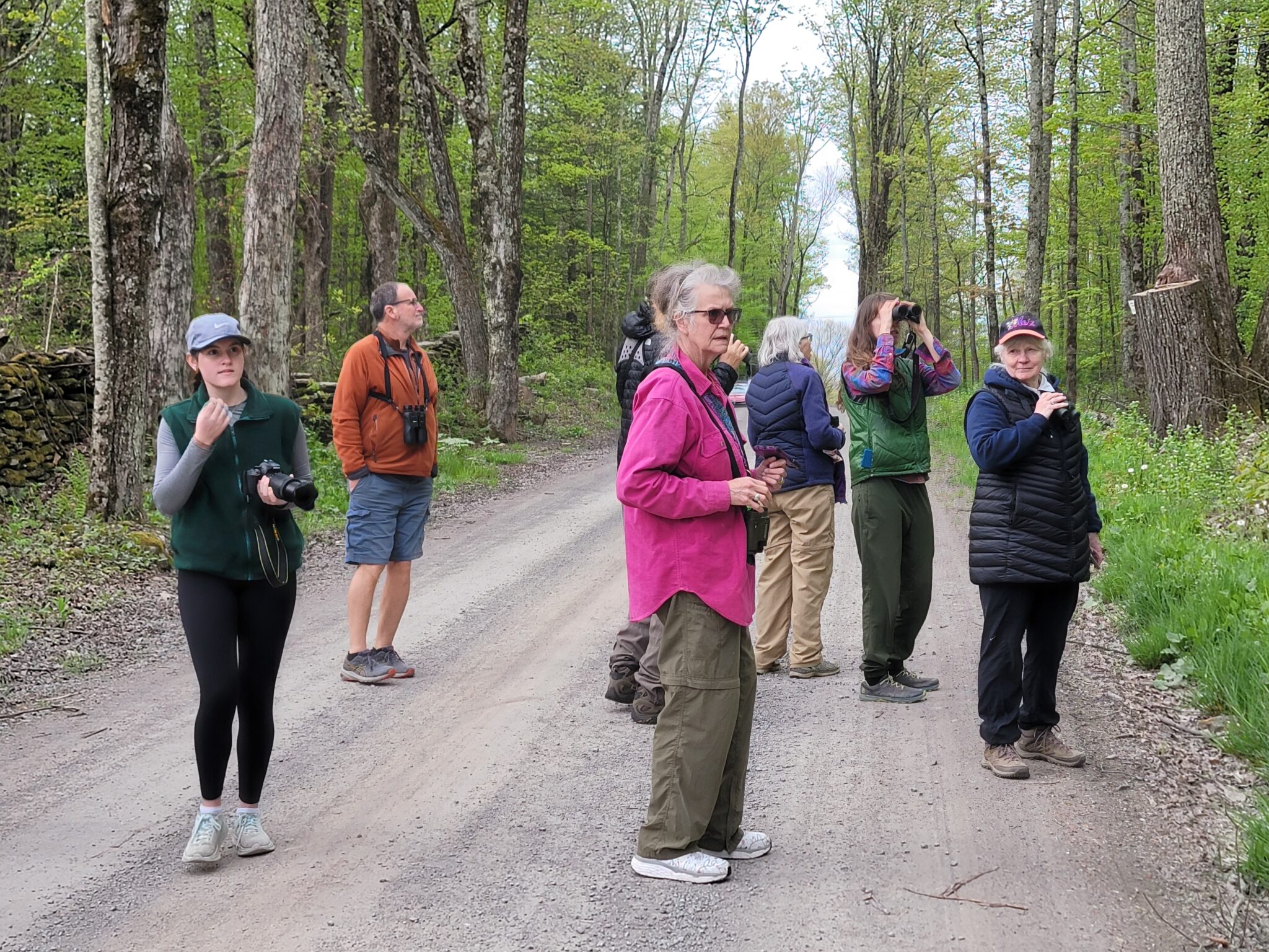 Spring Bird Walk with Joyce Stone - Edward L Rose Land Conservancy